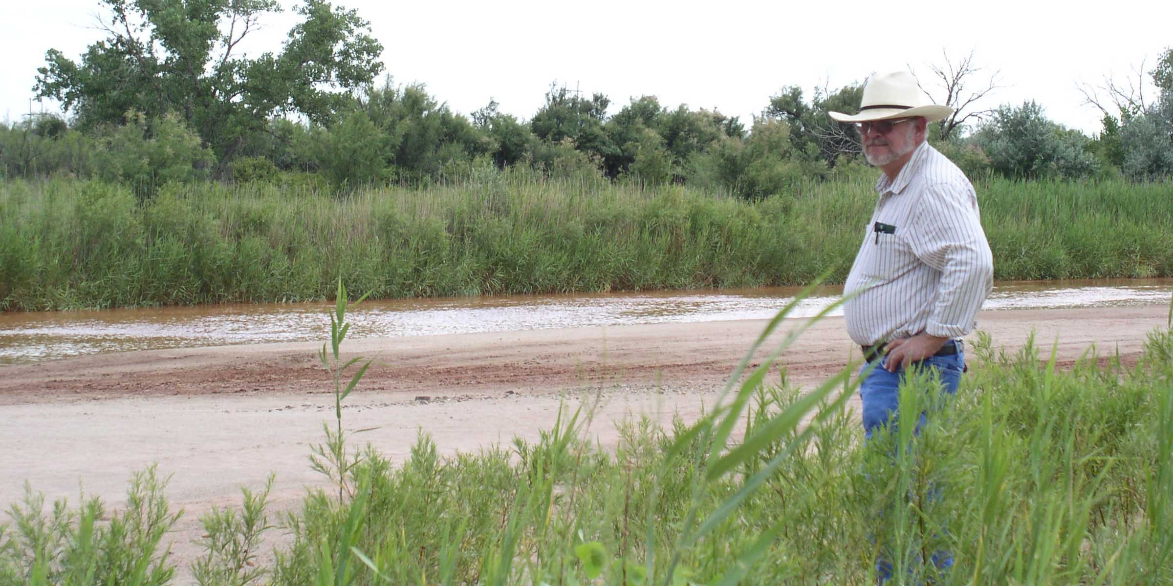 Salt Cedar Brush Management