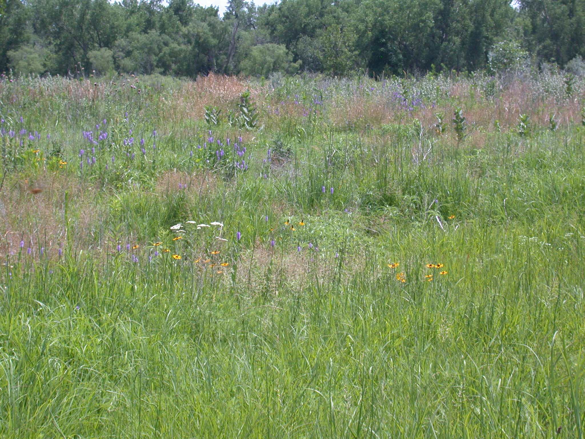 Platte River Habitat Partnership